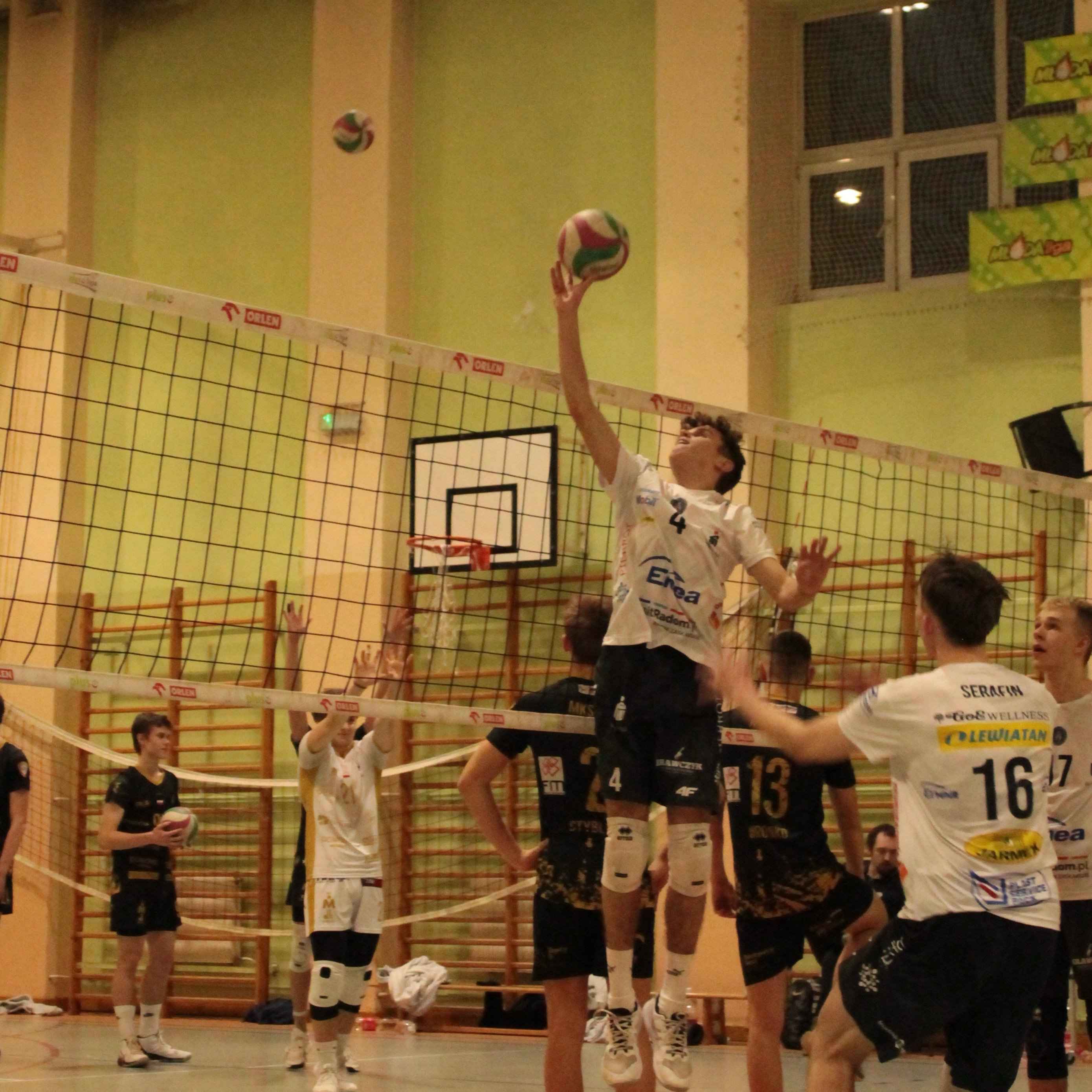 Lista profili | Level PRO